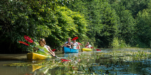 Afvaart kleine nete - Ark Van Noe